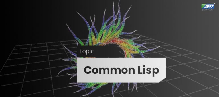 Insights to Common Lisp – Advanced Millennium Technologies